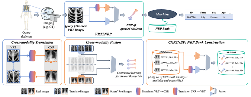 我院博士生参加ACM MM2024会议报告最新研究成果-软件学院