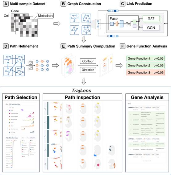 我院面向生物科学发现的可视分析研究成果被IEEE VIS 接收-软件学院