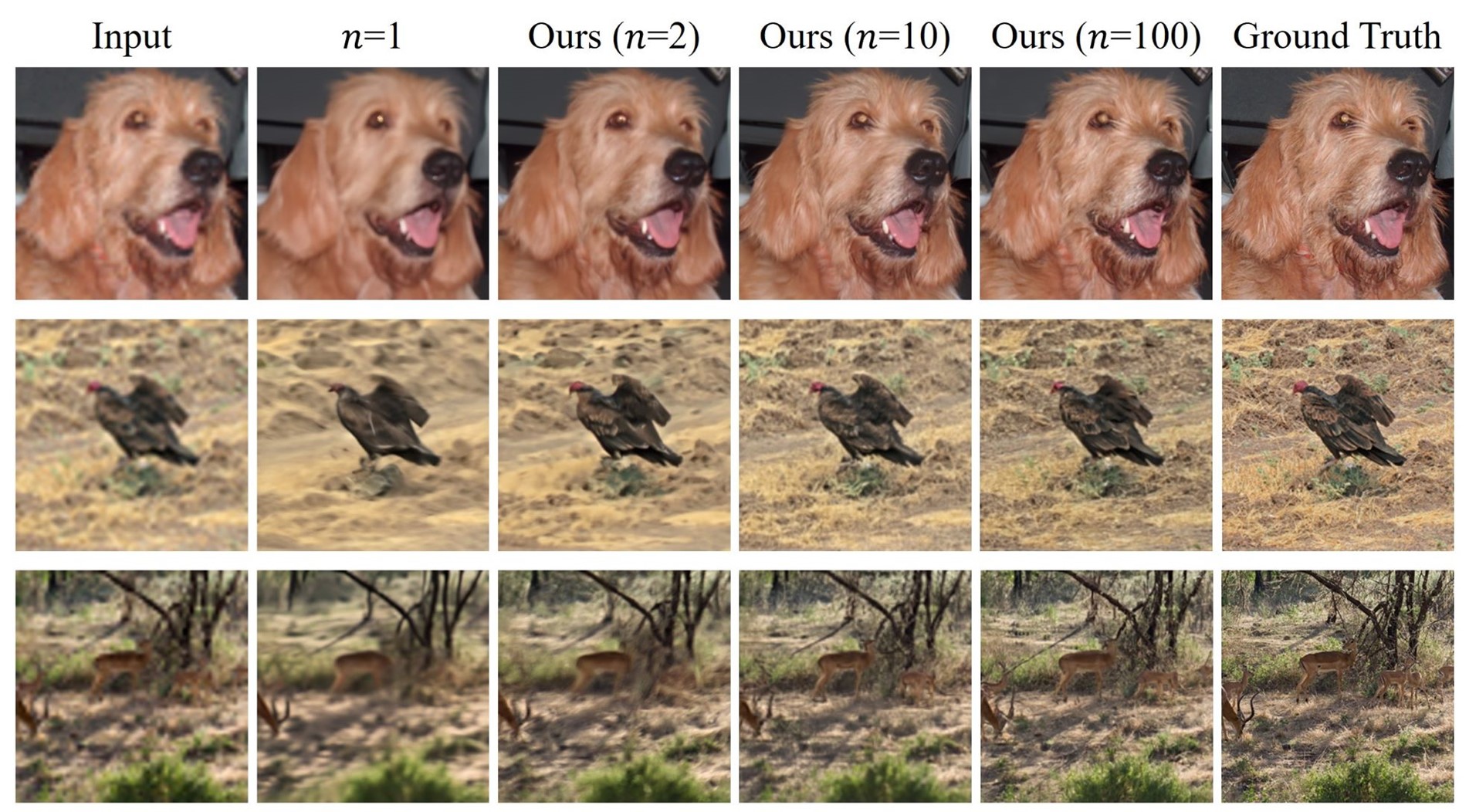 我院博士生参加ACM MM2024会议报告最新研究成果-软件学院